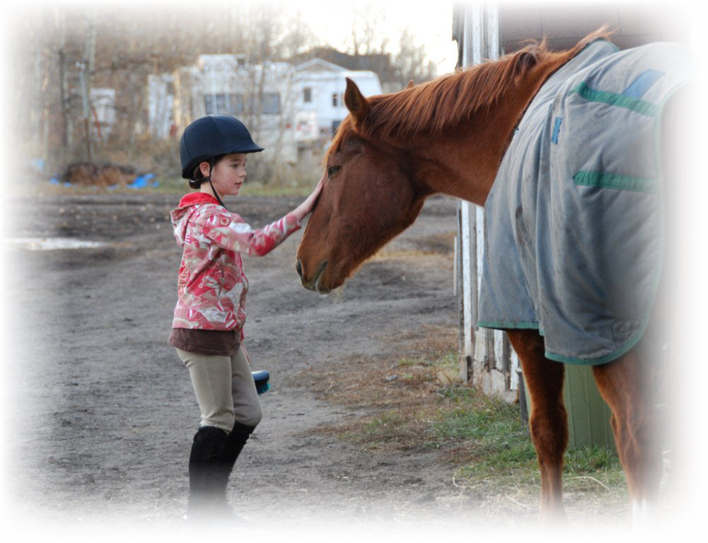 Willow Grove Stables